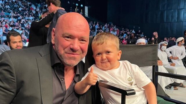 'Social media-ster Hasbulla tekent 5-jarige deal bij UFC' | FunX