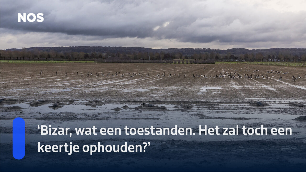 Regen blijft maar vallen: 'Drie keer zoveel als anders' | NPO Radio 1