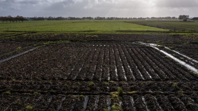 Boer Bert Slöetjes hekelt onrealistische landbouwregels: 'Bemoeienis ...
