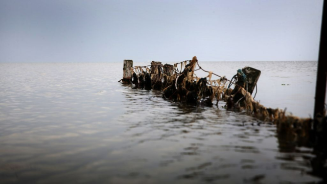 Hoe kan de Waddenzee status werelderfgoed behouden? | NPO Radio 1