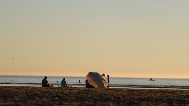 Van een reuzenhaai, tot een mini-kwal: de Noordzee is | NPO Radio 2