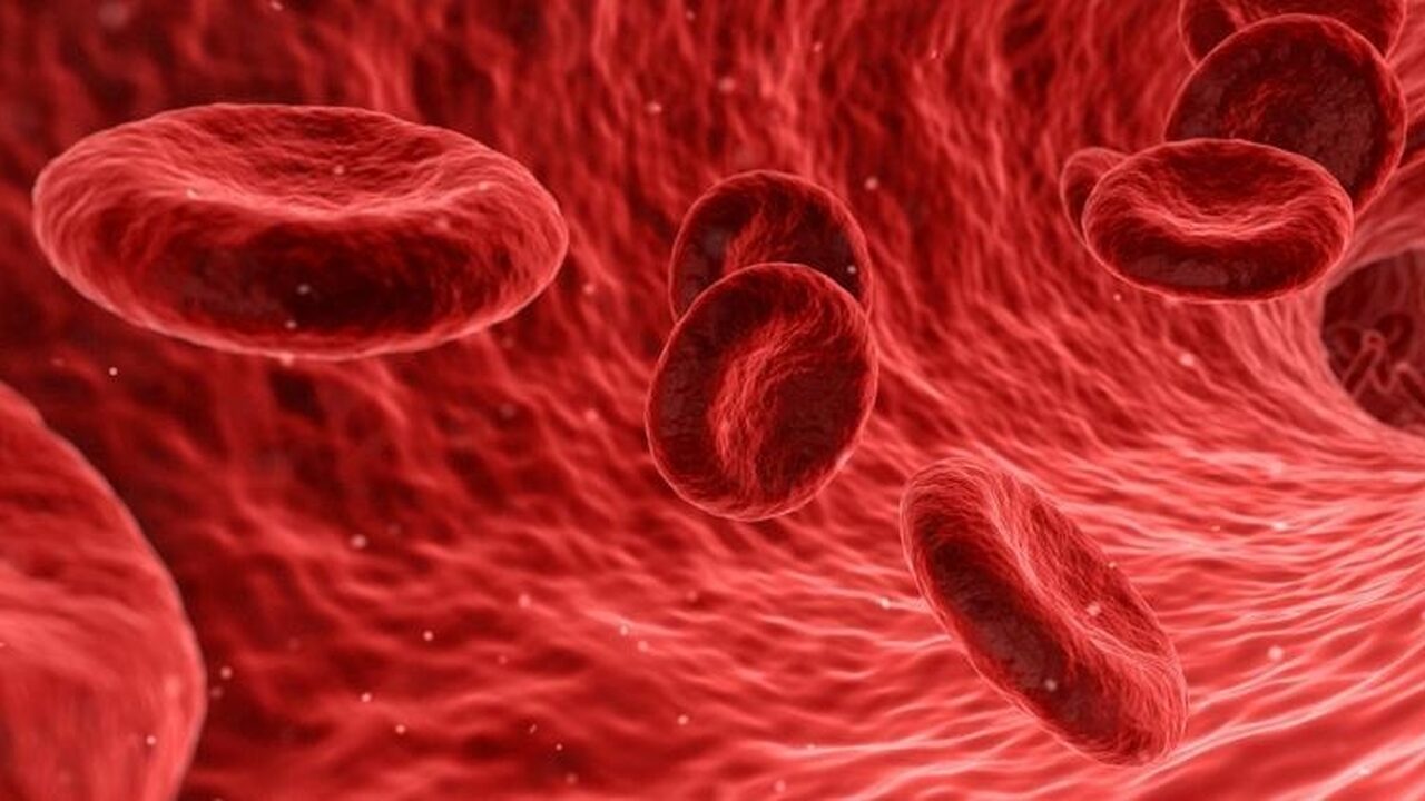 Lekkende bloedvaten voor betere medicatie | NPO Radio 1