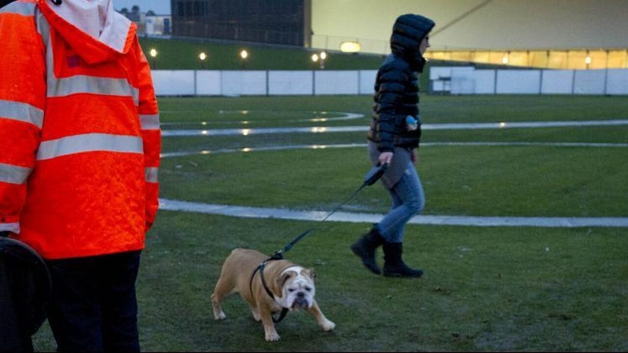 'Mensen ervaren de taakstraf wel degelijk als een straf, en het helpt ...