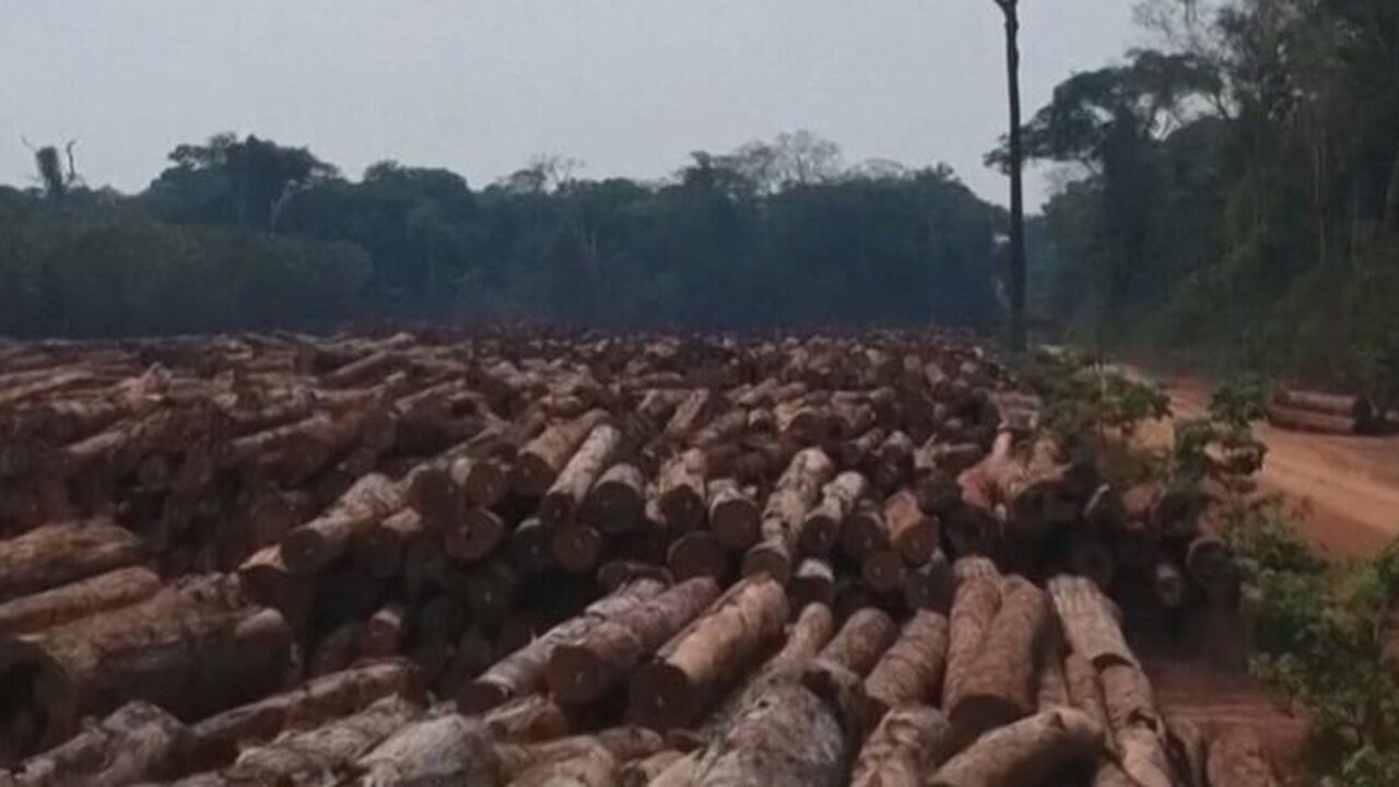 Nederland staat in de top-5 van Europese landen die bijdragen aan ...