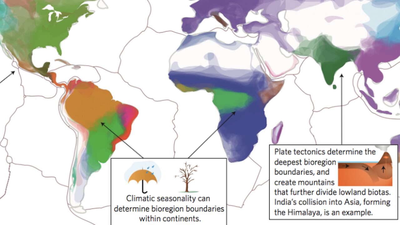 Drijvende krachten achter de verspreiding van diersoorten over de ...