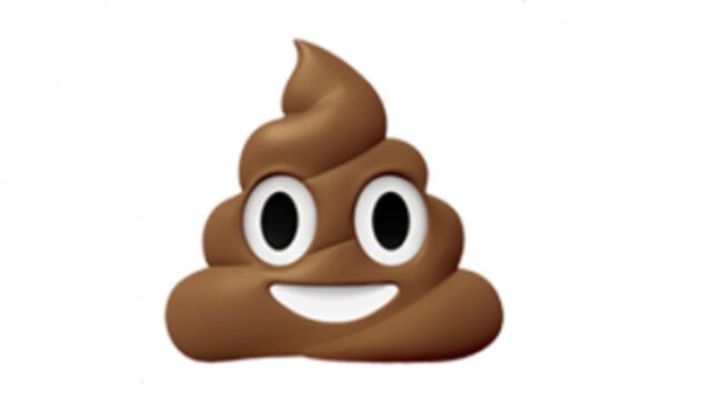 Waarom staat poep wereldwijd vaak als symbool voor geluk? | NPO Radio 2